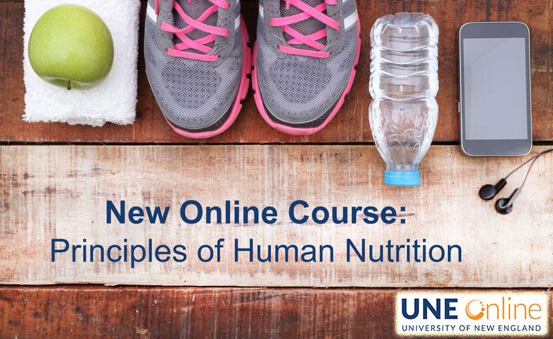 Online Nutrition Courses at UNE - NEW - Principles of Human Nutrition ...