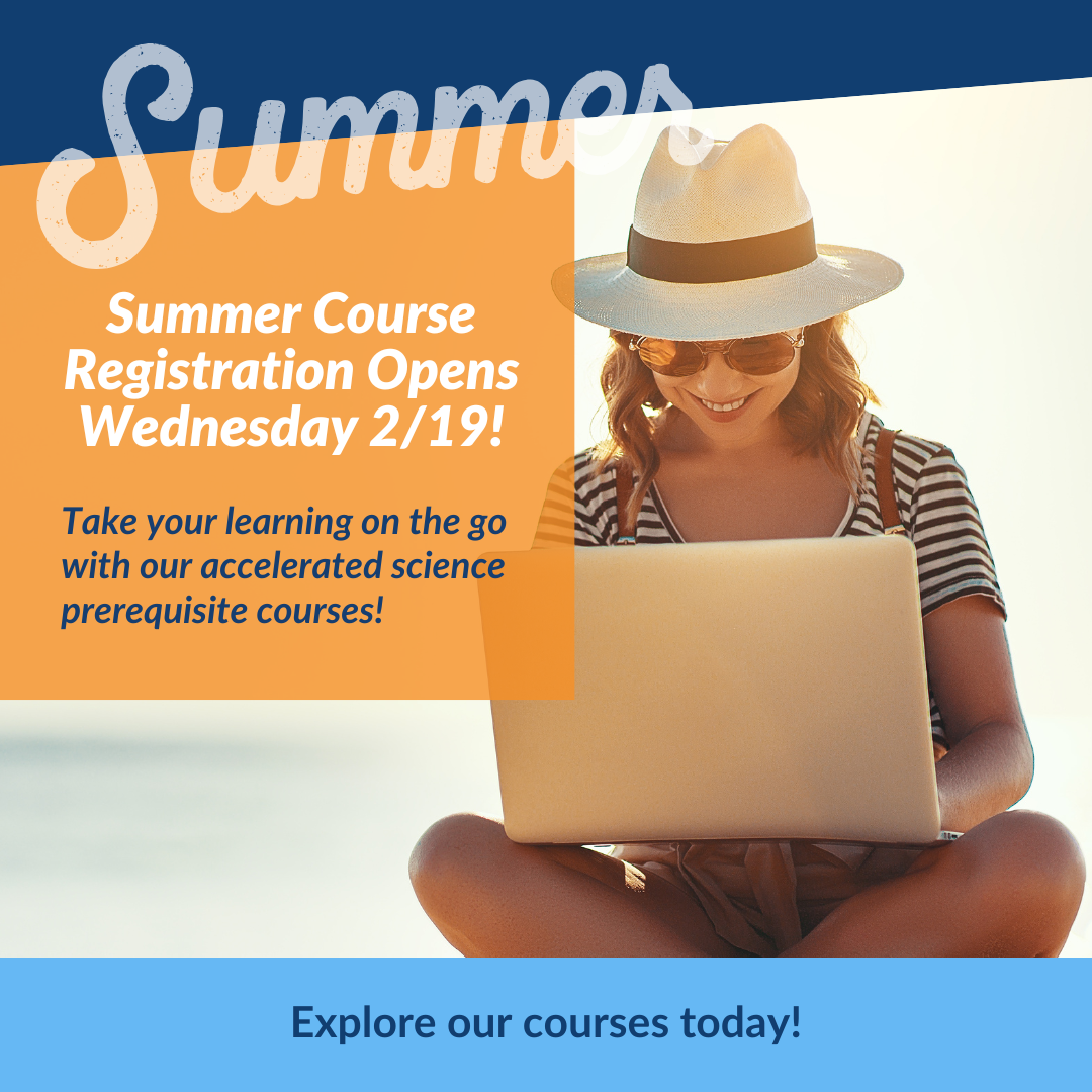 Summer Course Registration | UNE Online