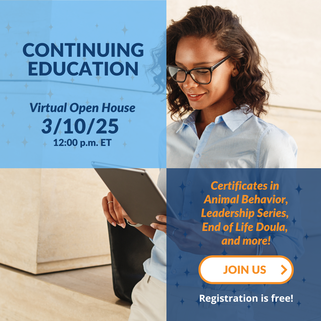 Continuing Education Open House | UNE Online