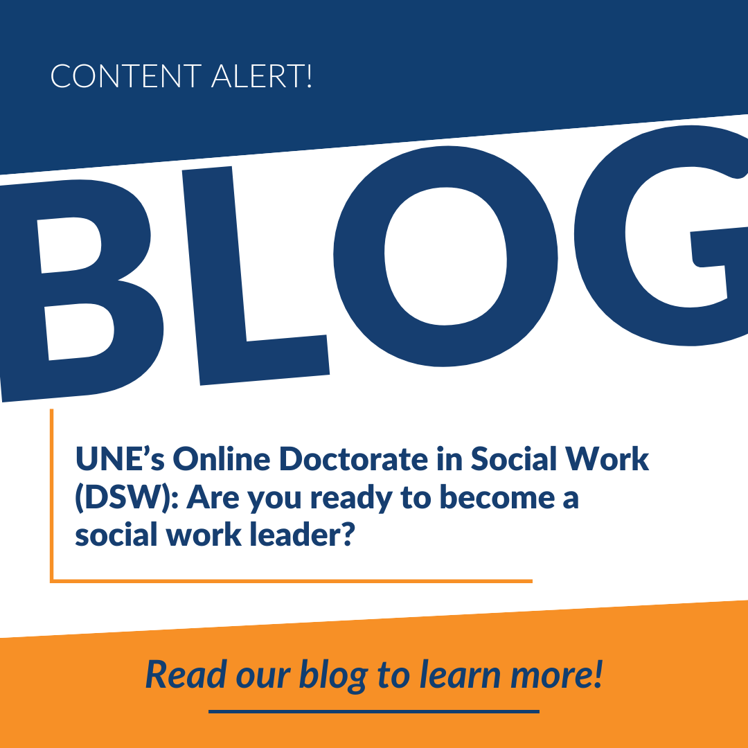 DSW Blog Feature | UNE Online